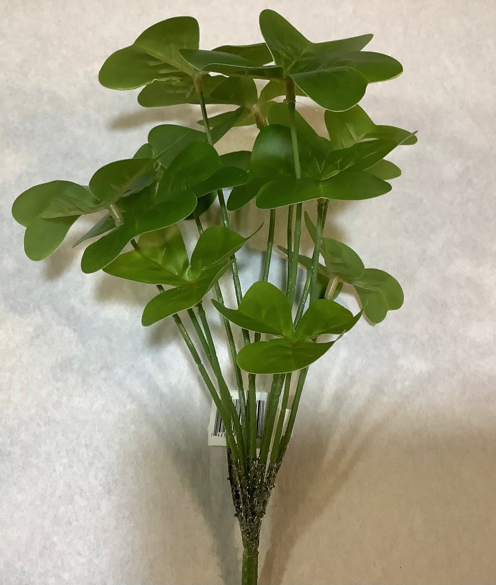 Green 4 Leaf Clover Bunch – Shop On Main Decatur
